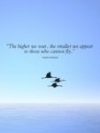 Inspirational Soar High Quotes