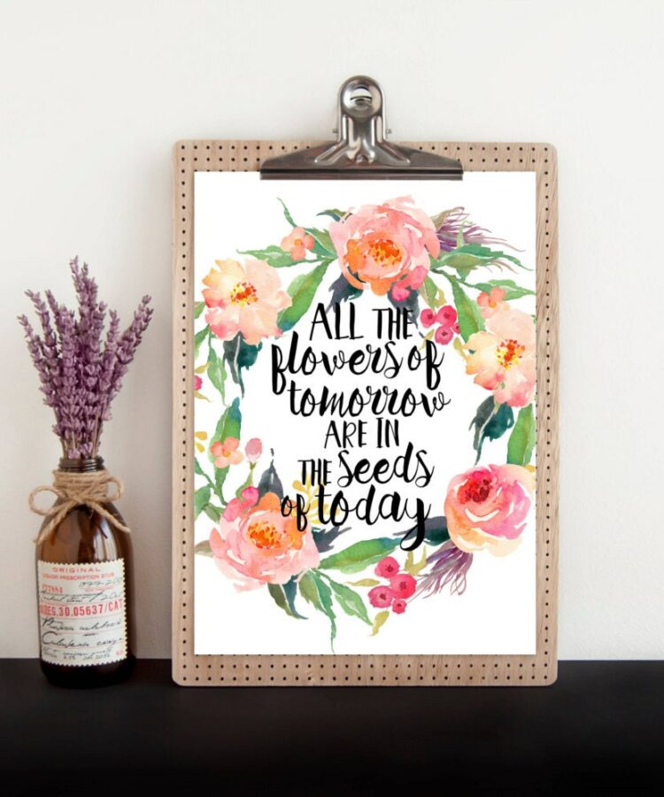 Women's Day Appreciation Quotes